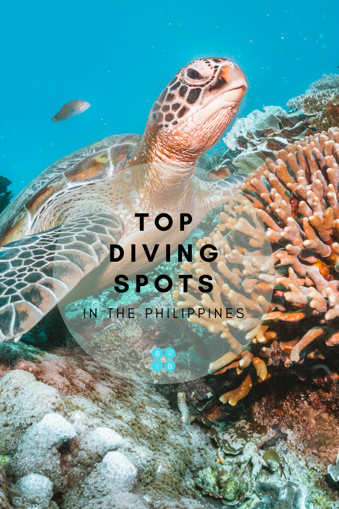 Where to Dive Philippines: Top 18 Diving Spots in the Philippines
