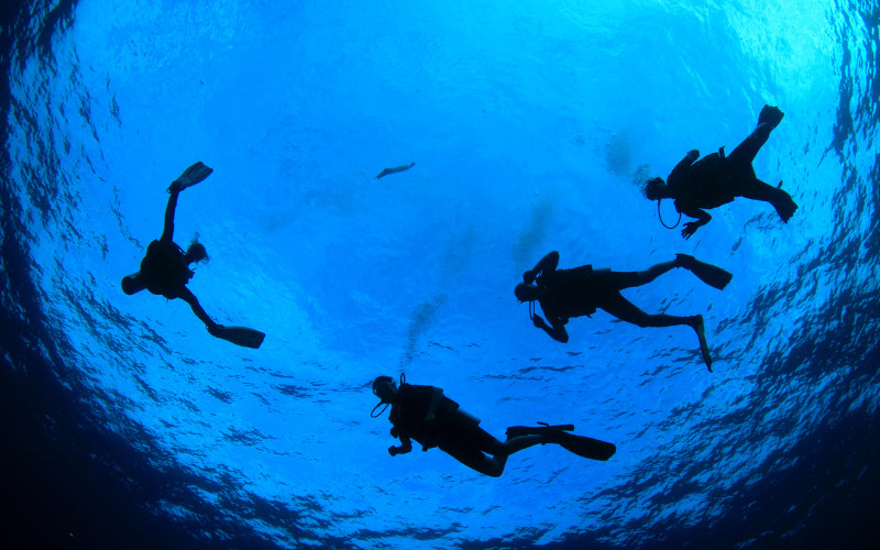 Experience Diving in Tulum: 20 Awesome Cenotes and Reefs » BWAB